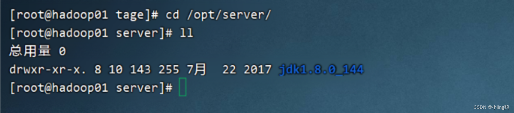 jdk和Hadoop的安装与部署（Hadoop集群搭建）_hadoop部署选jdk-CSDN博客