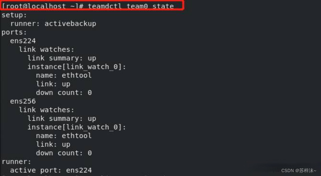 Linux网卡绑定实验_怎么看有没有网卡绑定_苏梓沫~的博客-CSDN博客
