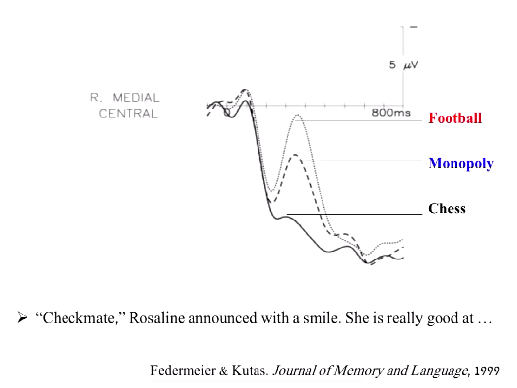 脑电实验设计的原理与实例-EEG Processing and Feature 4-CSDN博客