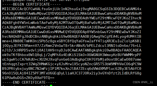 证书类型、自签CA证书、https双向认证（一篇就懂系列）_ca.crt-CSDN博客