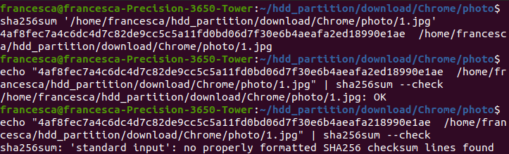 sha256sum 】检测文件完整性_sha256sums文件校验方法-CSDN博客