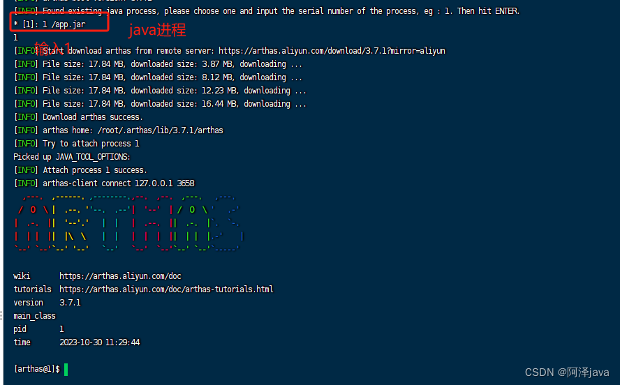 使用arthas排查JVM运行情况，Docker内运行_docker arthas linux-CSDN博客