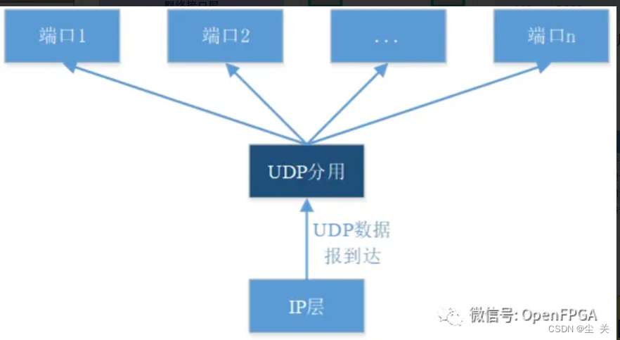 计算机网络---UDP_udp网络-CSDN博客