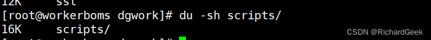 Linux 利用 du -sh 命令查看磁盘使用文件大小信息-CSDN博客