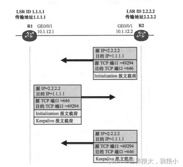 Ldp协议总结 Csdn博客 