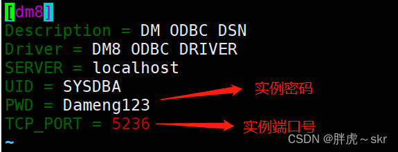 达梦数据库安装ODBC驱动及无法正常启动解决办法_php链接达梦数据库 odbc 无法链接-CSDN博客