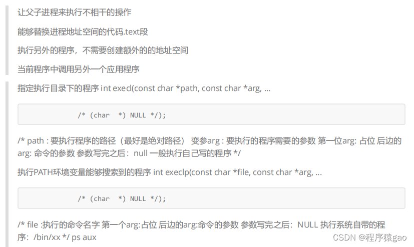 【Linux篇】exec函数族_linux中exec族函数-CSDN博客