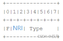 RTP包分析 以及H264 H265的分包_h265 rtp-CSDN博客