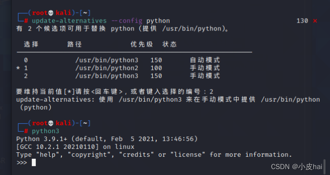 Linux中同时安装多个python版本，进行版本切换_liux同时安装python3.8.5和python3.8.10指定版本运行-CSDN博客