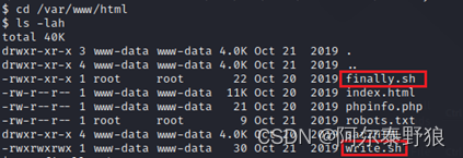 实战打靶集锦-012-sar2HTML-CSDN博客