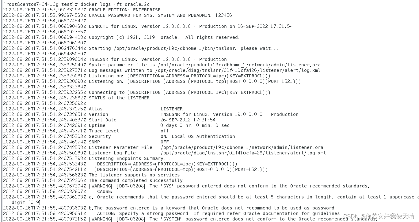 Centos7 Docker安装oracle19c Csdn博客