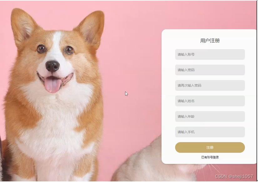 附源码 Nodejs计算机毕业设计基于java的流浪猫狗救助平台express程序lw流浪猫功能模块图 Csdn博客