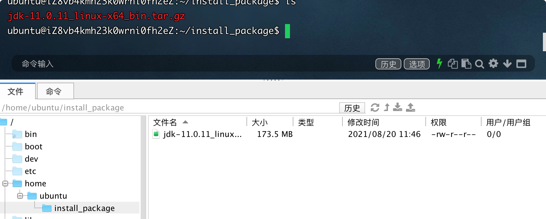 ubuntu安装jdk11并配置环境变量（手动解压方式）-CSDN博客