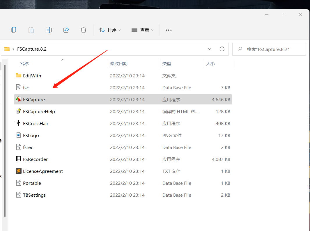 技巧分享—截图录屏 FSCapture-CSDN博客