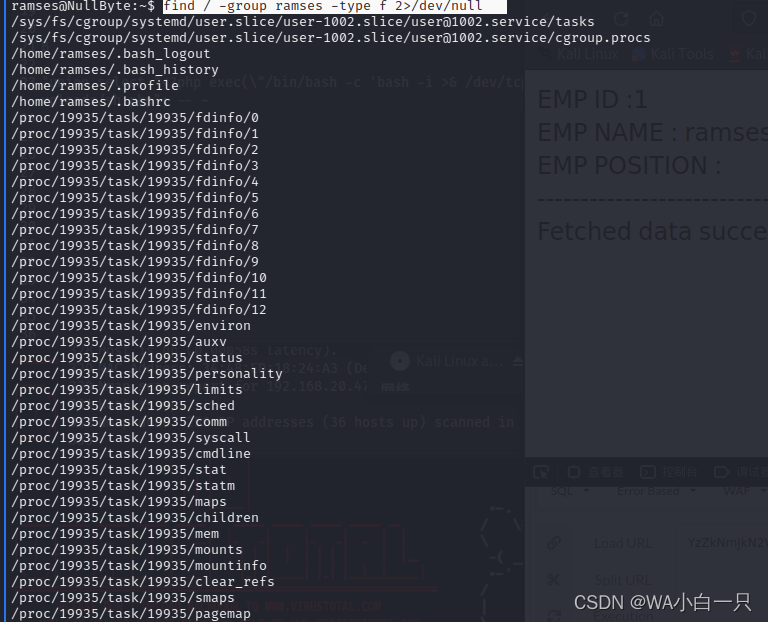 01_渗透靶场NullByte：namp使用，多姿势SQL注入，提权-CSDN博客