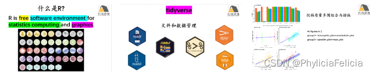 R语言结构方程模型（SEM）在生态学领域中的应用_生物学中用r做sem数据分析方法-CSDN博客