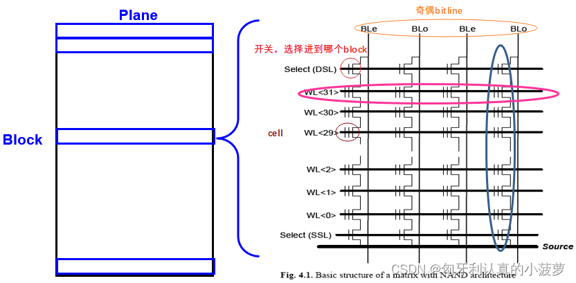 Nand Flash基础笔记（1）_tlc low page-CSDN博客