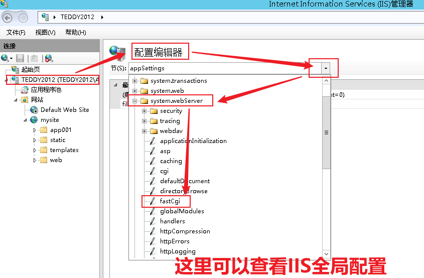IIS上添加处理程序映射wfastcgi-CSDN博客