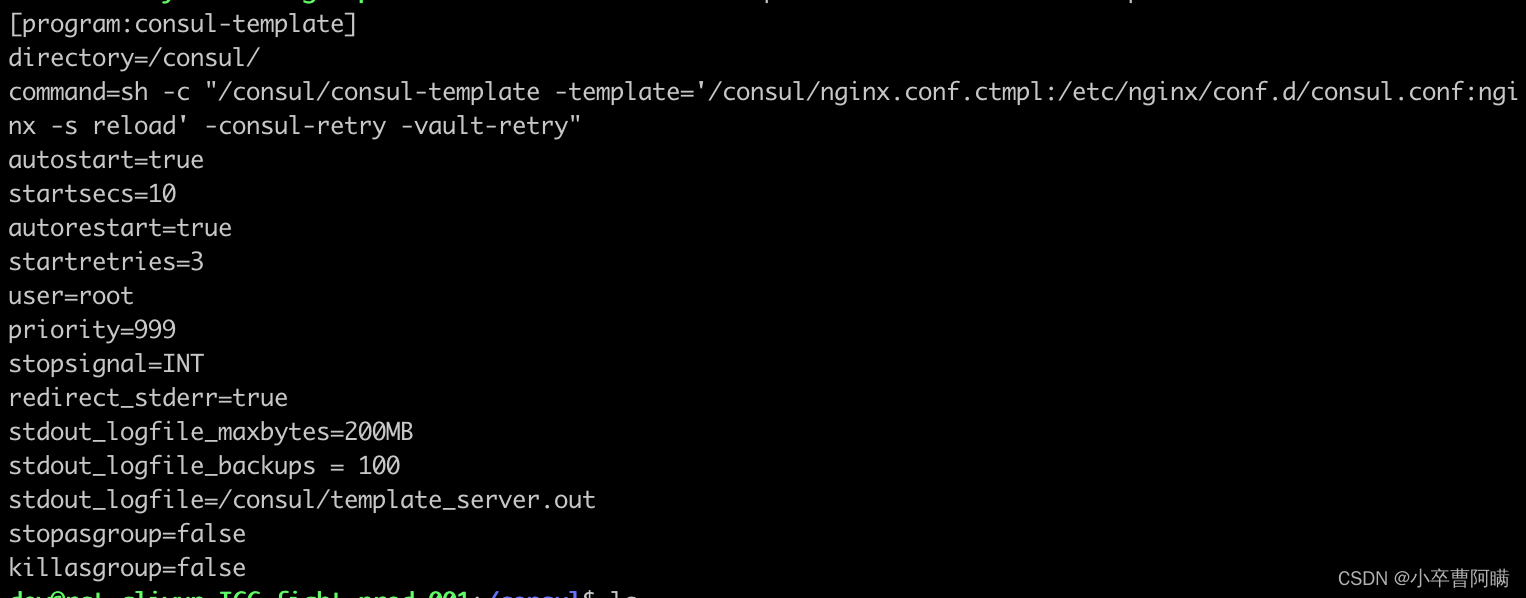 consul部署_consul启动指定配置文件-CSDN博客