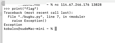 BugKu_python_jail_jail help函数绕过长度限制-CSDN博客