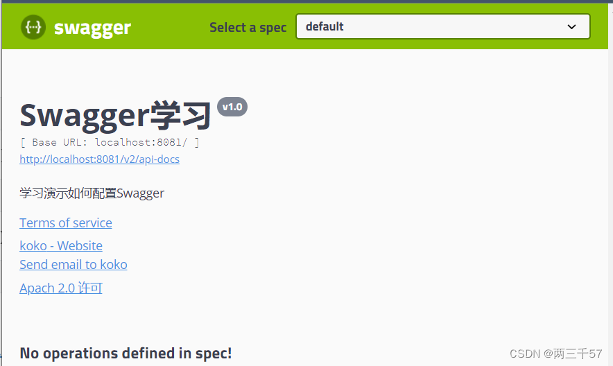 超详细Swagger基本使用方法【狂神】_swagger使用-CSDN博客
