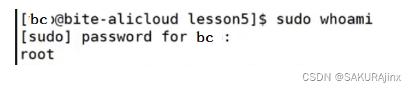 Linux权限_chown 777-CSDN博客