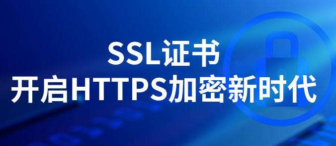如何获取网站的HTTPS证书？_如何获取网站证书-CSDN博客