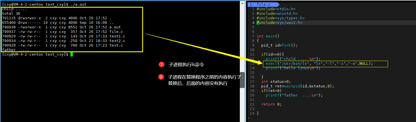 【Linux入门】：进程控制_linux unistd.h实现在哪里-CSDN博客