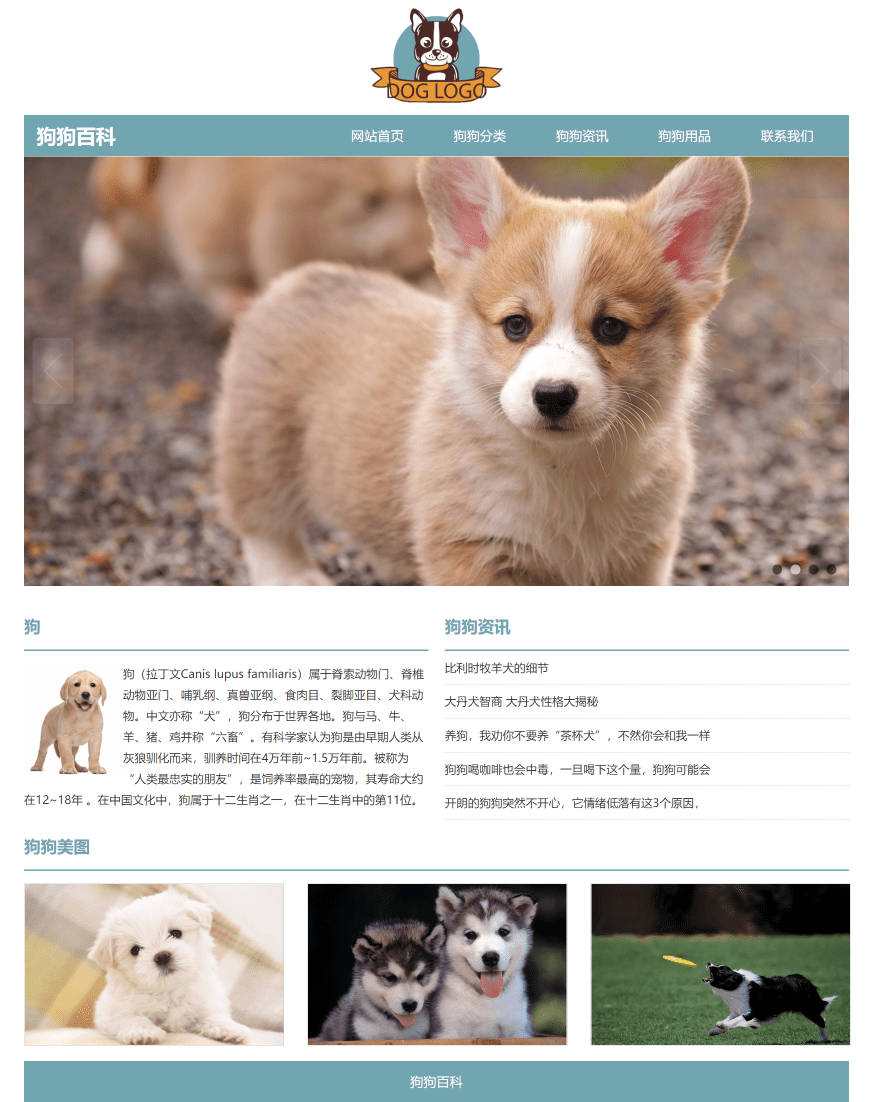 Web前端期末大作业 Htmlcssjavascript网页设计实例 宠物狗网站制作制作一个12生肖的htmlcssjs的网页 Csdn博客 