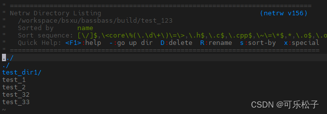 Vim实用技巧_4.管理多个文件（打开 + 切分 + 保存 + netrw）_vim 多文件-CSDN博客