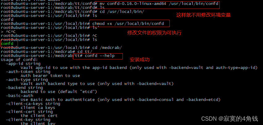 nginx动态修改配置文件基于confd 实现动态切换浏览_nginx动态配置修改-CSDN博客