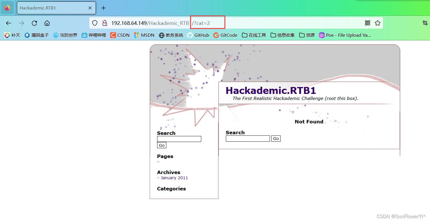 渗透测试——Hackademic.RTB1靶场-CSDN博客