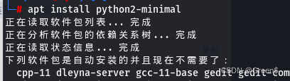 解决kali linux pip2与pip3共存_kali python2和python3如何共存-CSDN博客