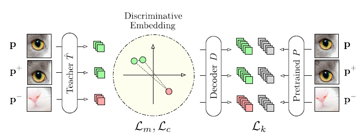 【论文笔记】【CVPR2020】【异常检测 】Uninformed Students: Student–Teacher Anomaly Detection-CSDN博客