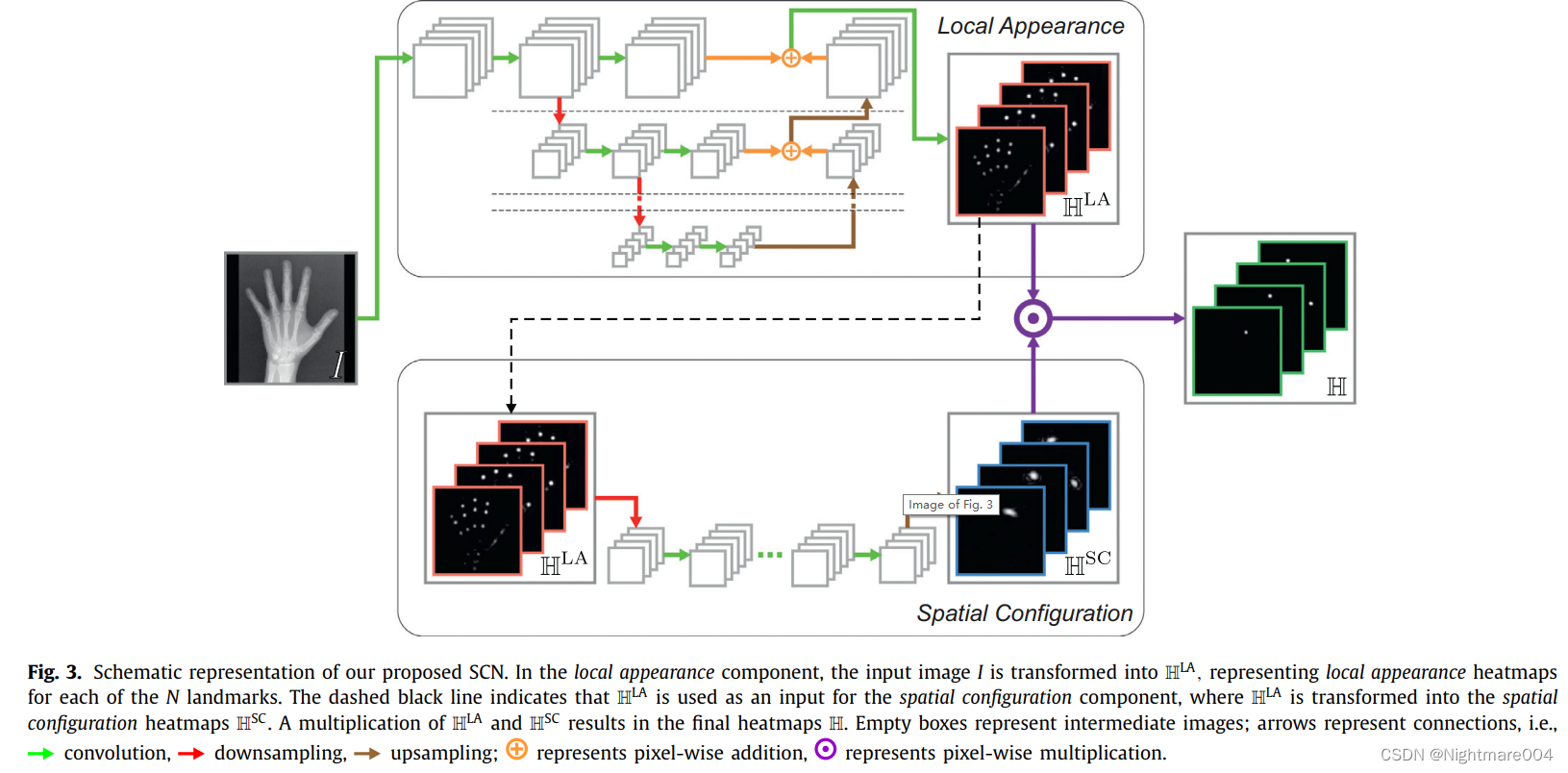 Integrating spatial configuration into heatmap regression based CNNs for landmark localization ...