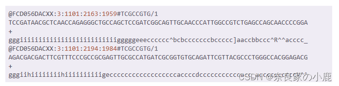 生信搬运工-01-fastq文件的处理_fq文件用什么软件打开-CSDN博客