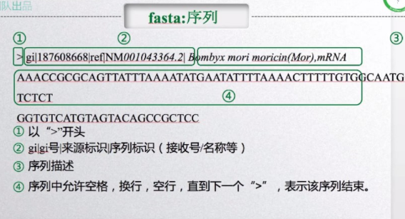 NGS数据分析实践：03. 涉及的常用数据格式[1] - fasta和fastq格式_fastq数据分析-CSDN博客