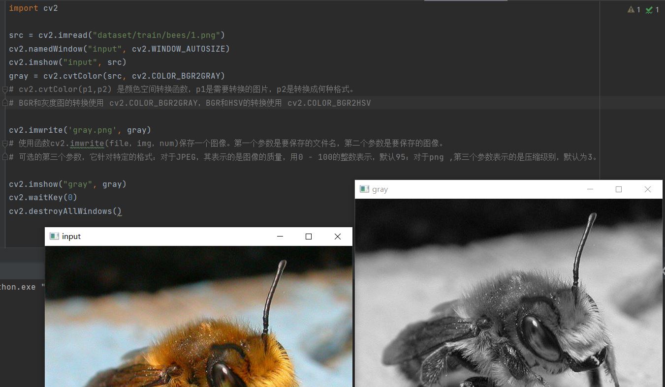 OpenCV笔记002————gray image-CSDN博客