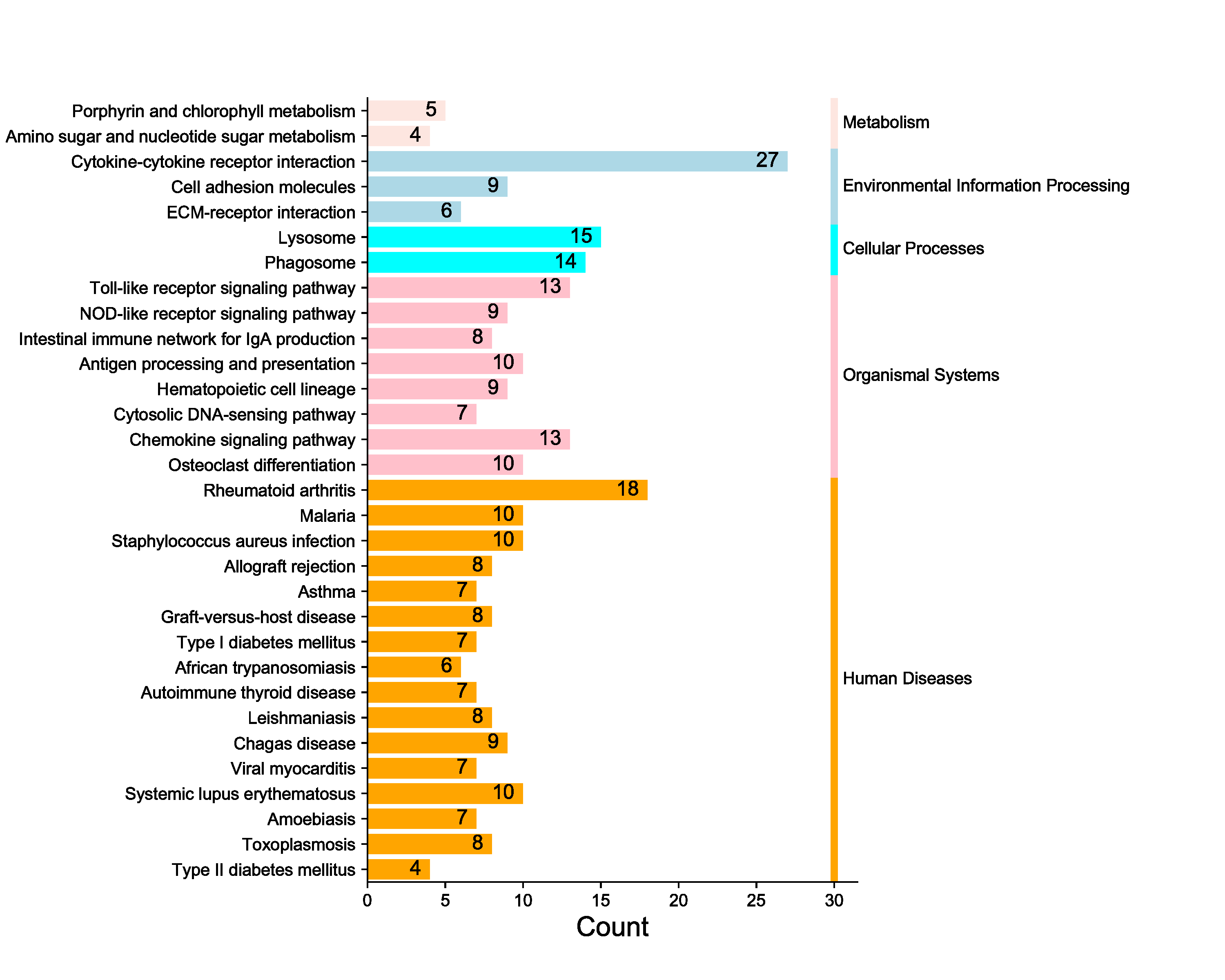 微生信在线绘制KEGG Pathway通路分类汇总图_kegg分类图-CSDN博客