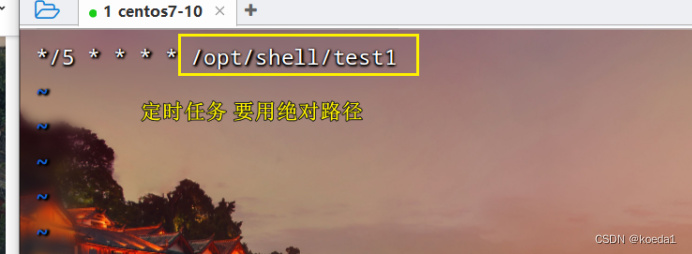 shell编程规范与变量_linux shell echo int类型变量-CSDN博客