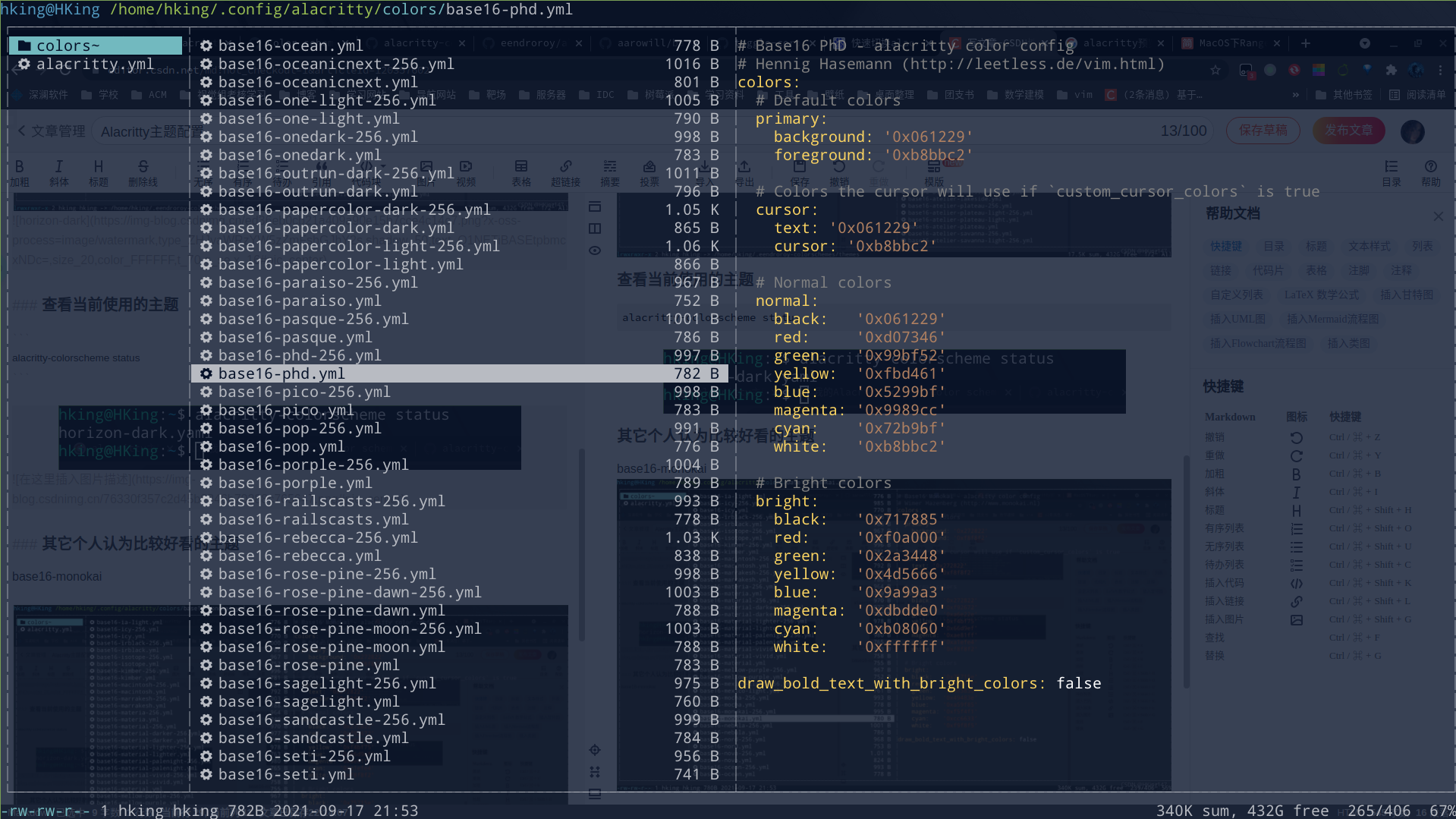 Alacritty主题配置_alacritty配置-CSDN博客