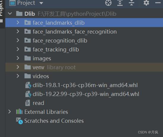 基于dlib库关键点检测（图片和视频）demo_视频关键点检测怎么做-CSDN博客