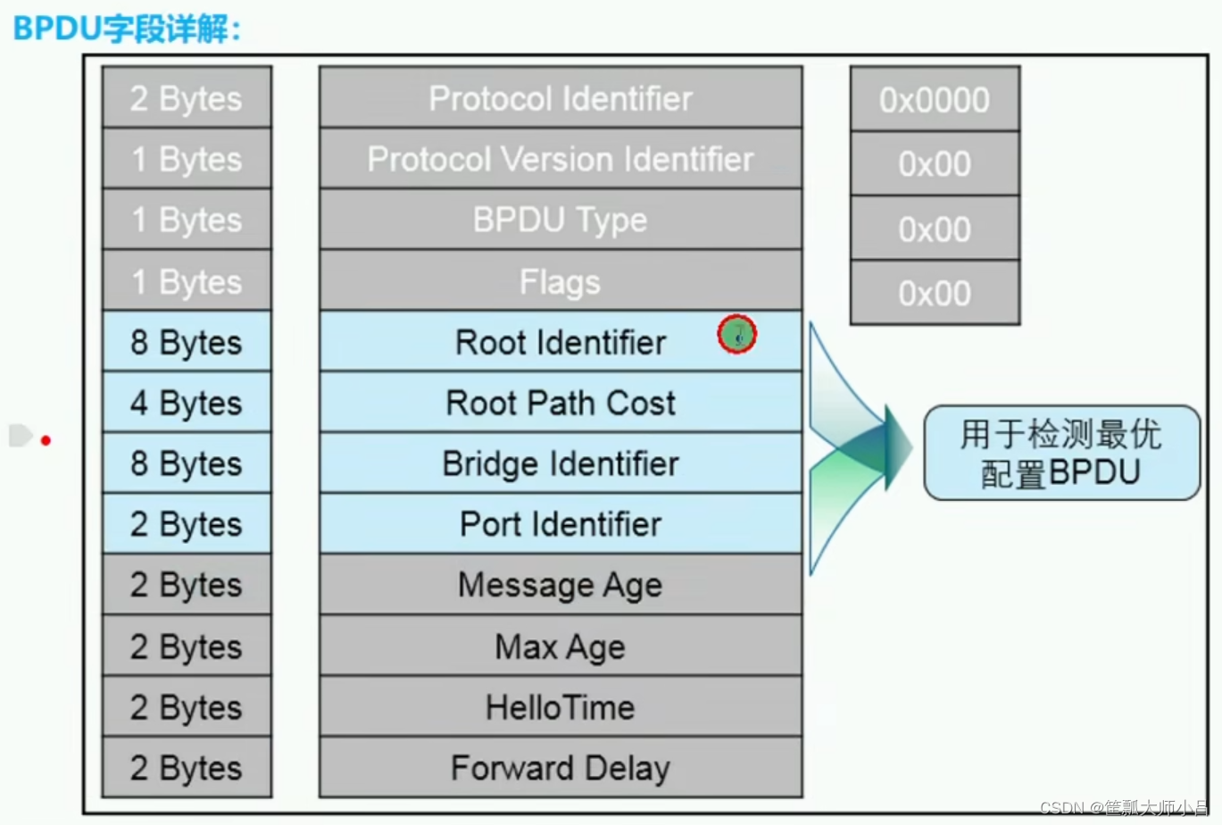 HCIA-R&S自用笔记（21）STP技术背景、STP基础和数据包结构、STP选举规则及案例_stp如何选举dr命令-CSDN博客