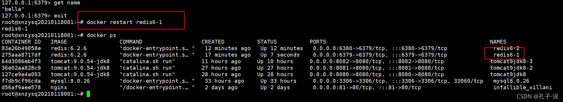 Docker教程 4 Redis容器的安装配置使用 Docker Redis配置文件路径 Csdn博客