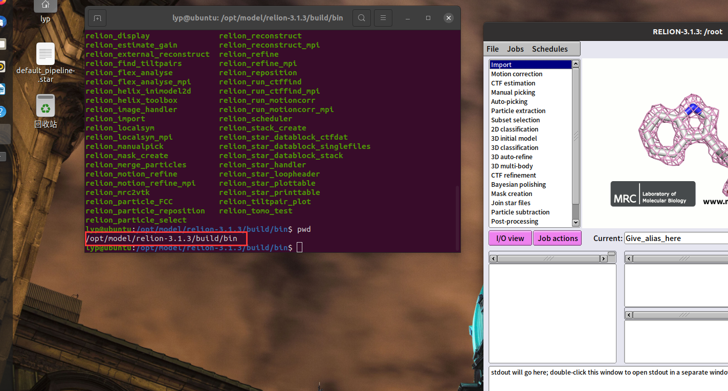 Relion-3.1.3 编译安装-CSDN博客