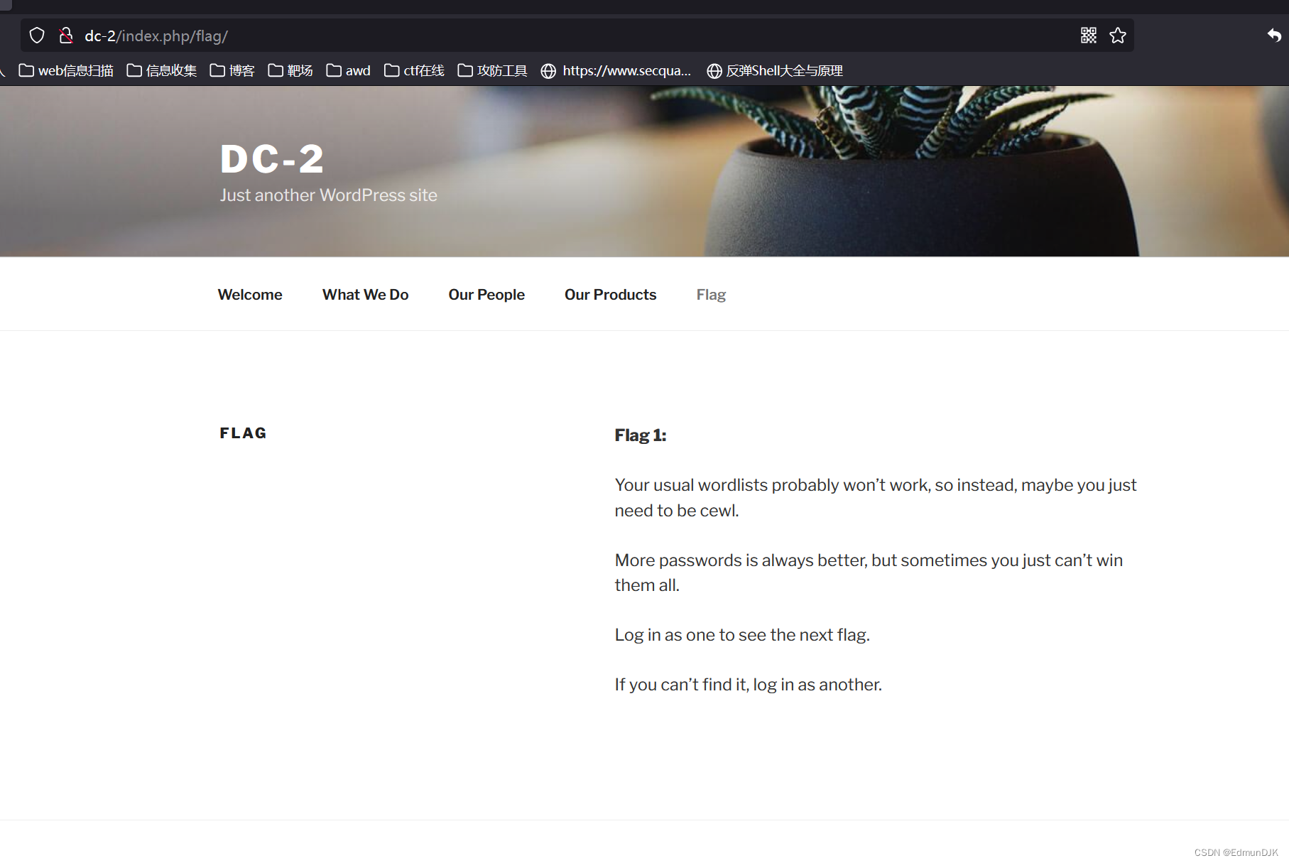 DAY29（DAY30拓展）：Vulnhub--靶机实战_actiontec mi424wr-gen3i wap-CSDN博客