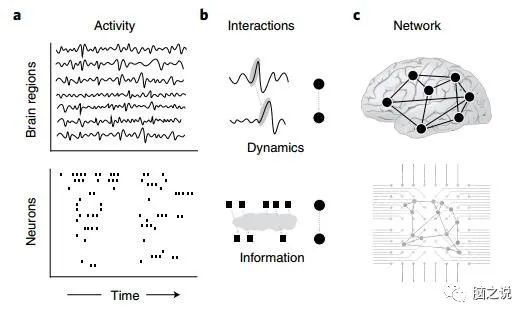 Nature Neuroscience综述:网络神经系统中的动态表征_dynamic representation in neural ...